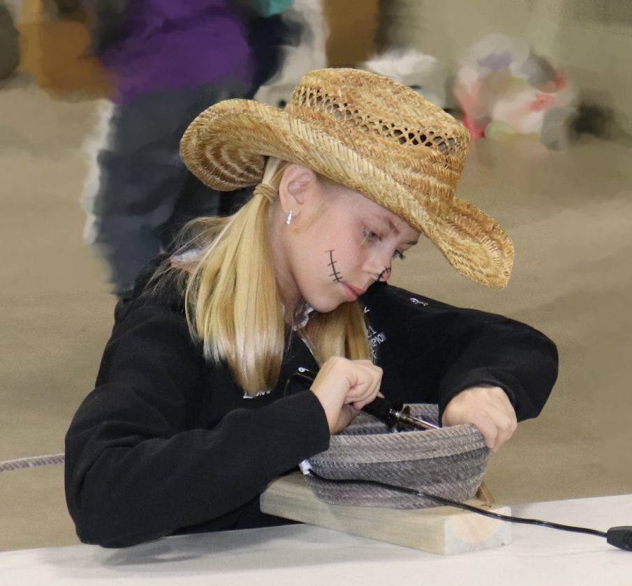 Youth take part in 4-H Multi-County Project Exploration Day | News ...